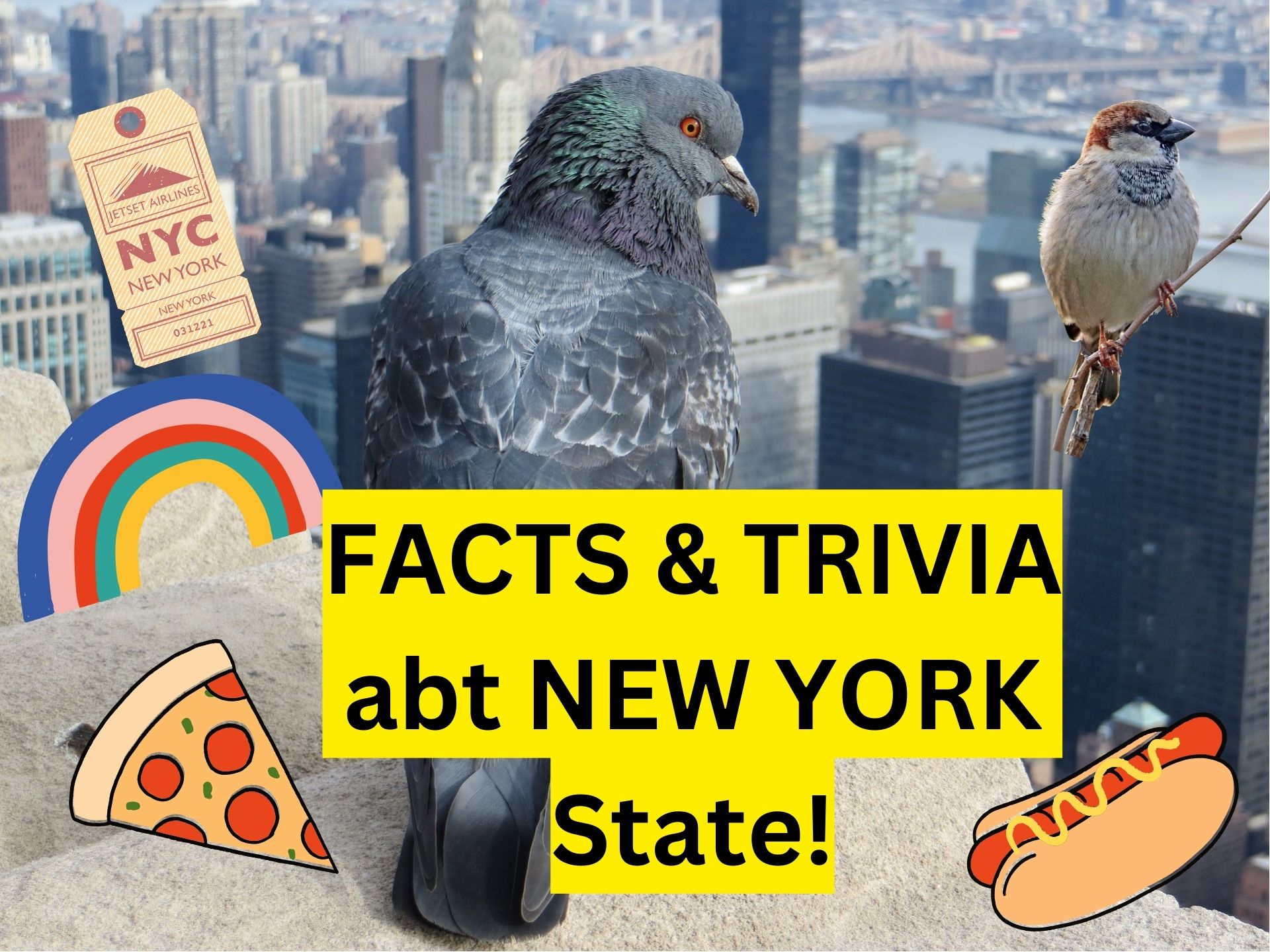 Discover 56 Surprising Facts That Make New York State Unique - Content Bash